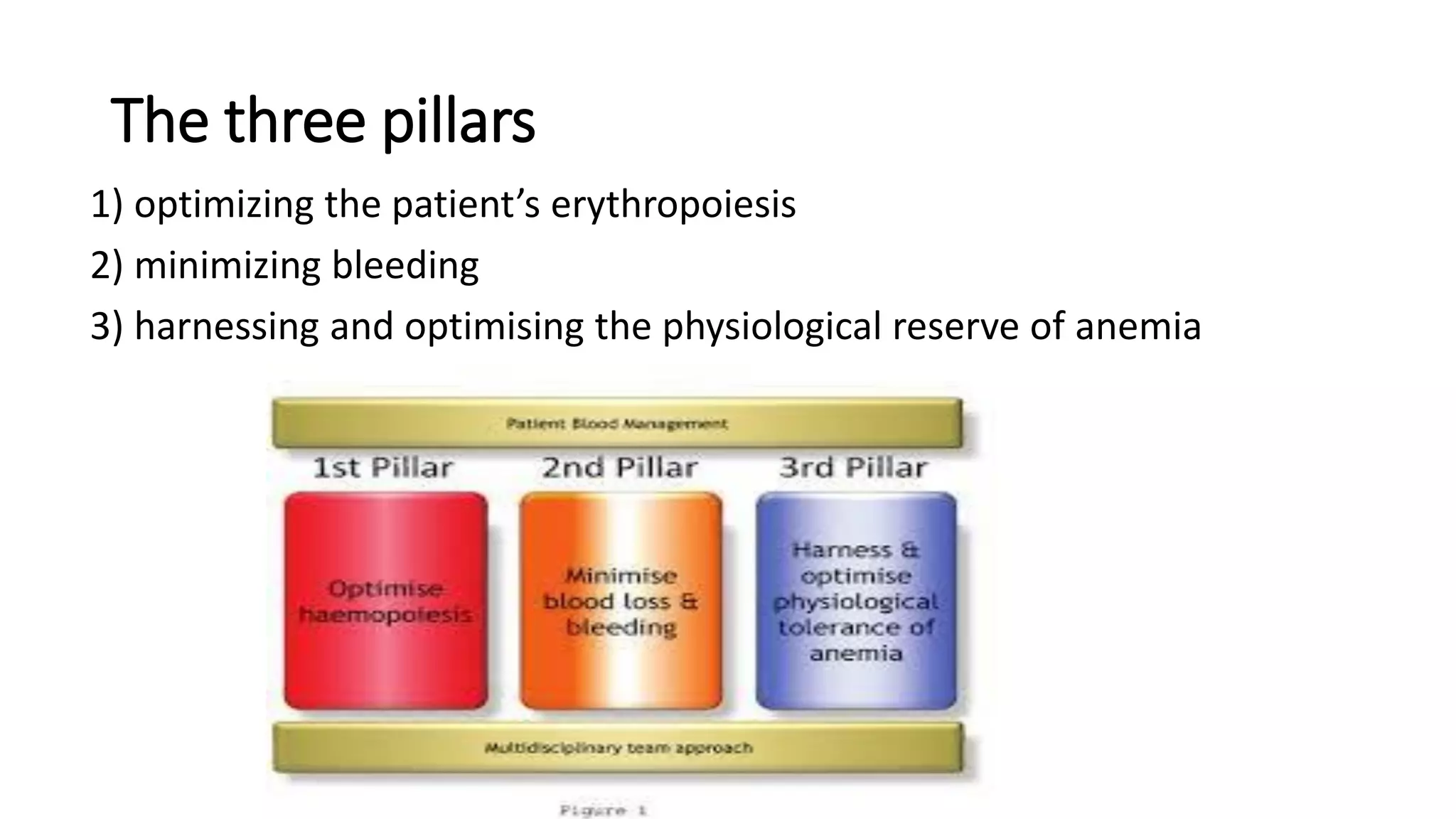 Patient Blood Management | PDF