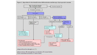 Patient Blood Management | PDF