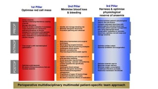 Patient Blood Management | PDF