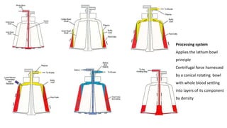 Patient blood management(1) | PPT