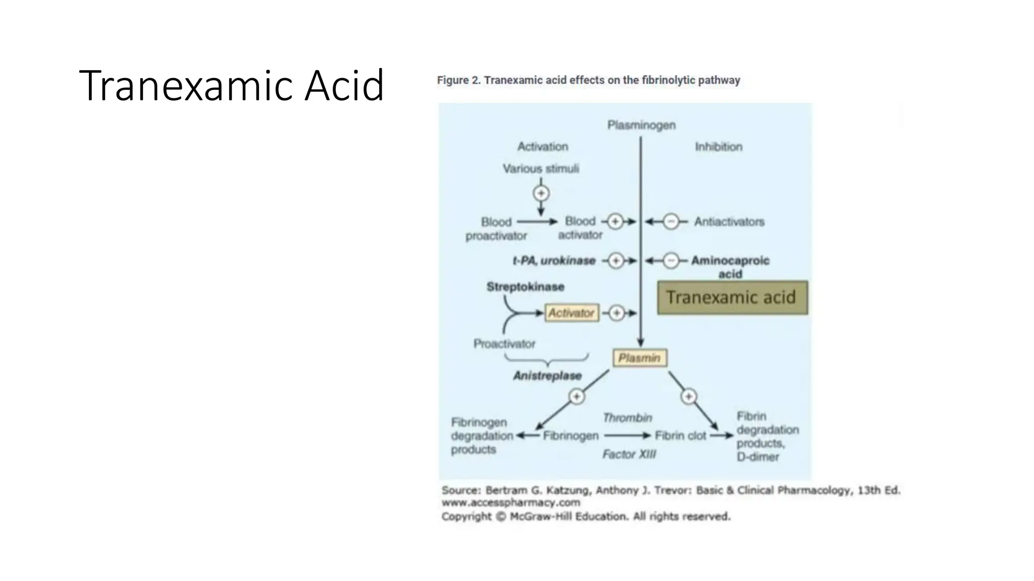 Patient Blood Management in Critically Ill Patient | PPTX