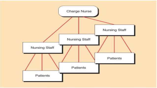 Patient care delivery system | PPTX | Healthcare Industry | Industries