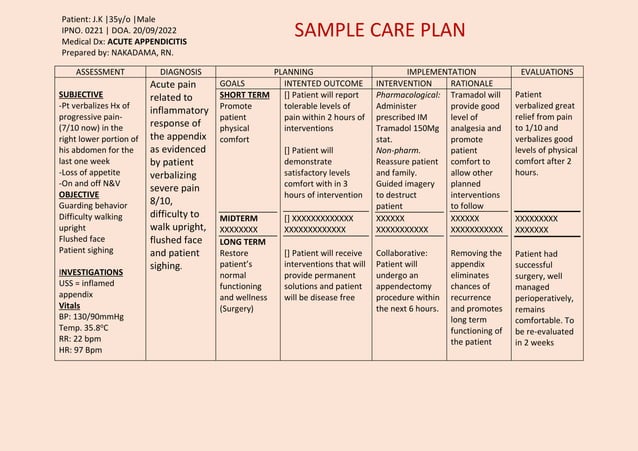 Patient care plan.pdf