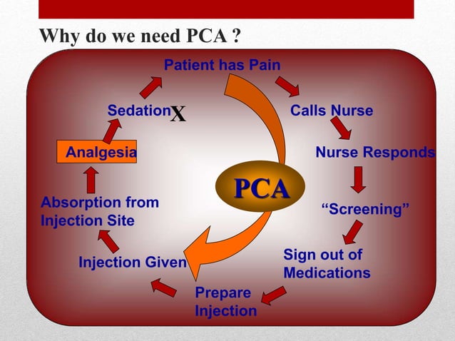 Patient controlled analgesia(pca) | PPTX | Healthcare Industry | Industries