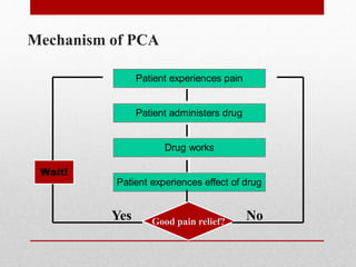 Patient controlled analgesia(pca) | PPTX