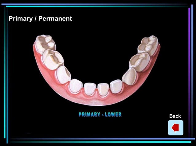 Dental Patient education Animations | PPSX | Dental Health | Diseases ...