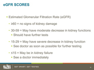 Important Roles for Primary Care Providers in Treating Chronic Kidney ...