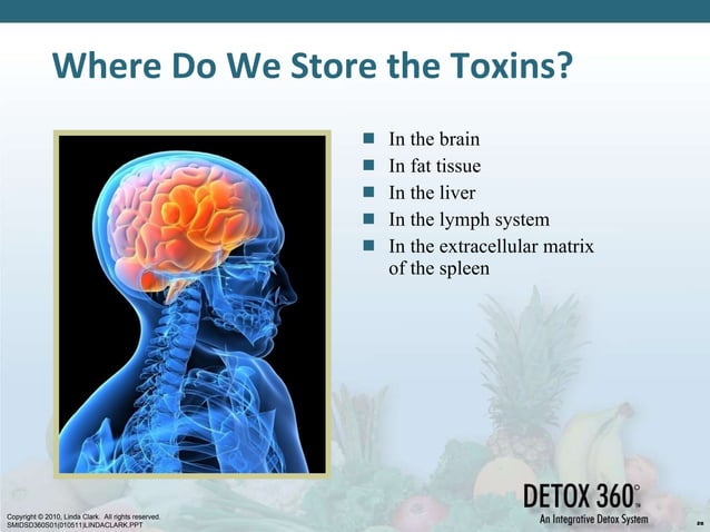 Introduction to Detox 360 | PPT | Endocrine and Metabolic Diseases | Diseases and Conditions