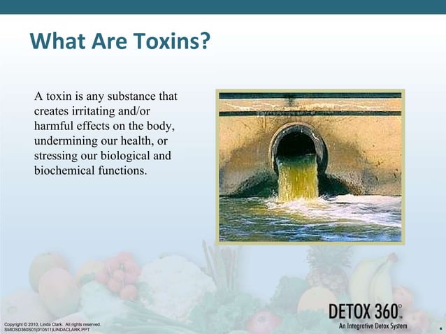 Introduction to Detox 360 | PPT | Endocrine and Metabolic Diseases | Diseases and Conditions