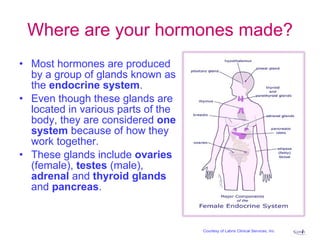 Bioidentical Hormones For Every Woman | PPT