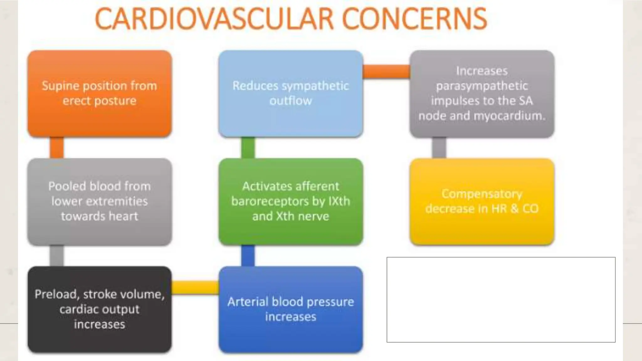 Patient Positioning - Anesthesia, position | PPTX