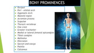 patient positioning in operative room.pptx
