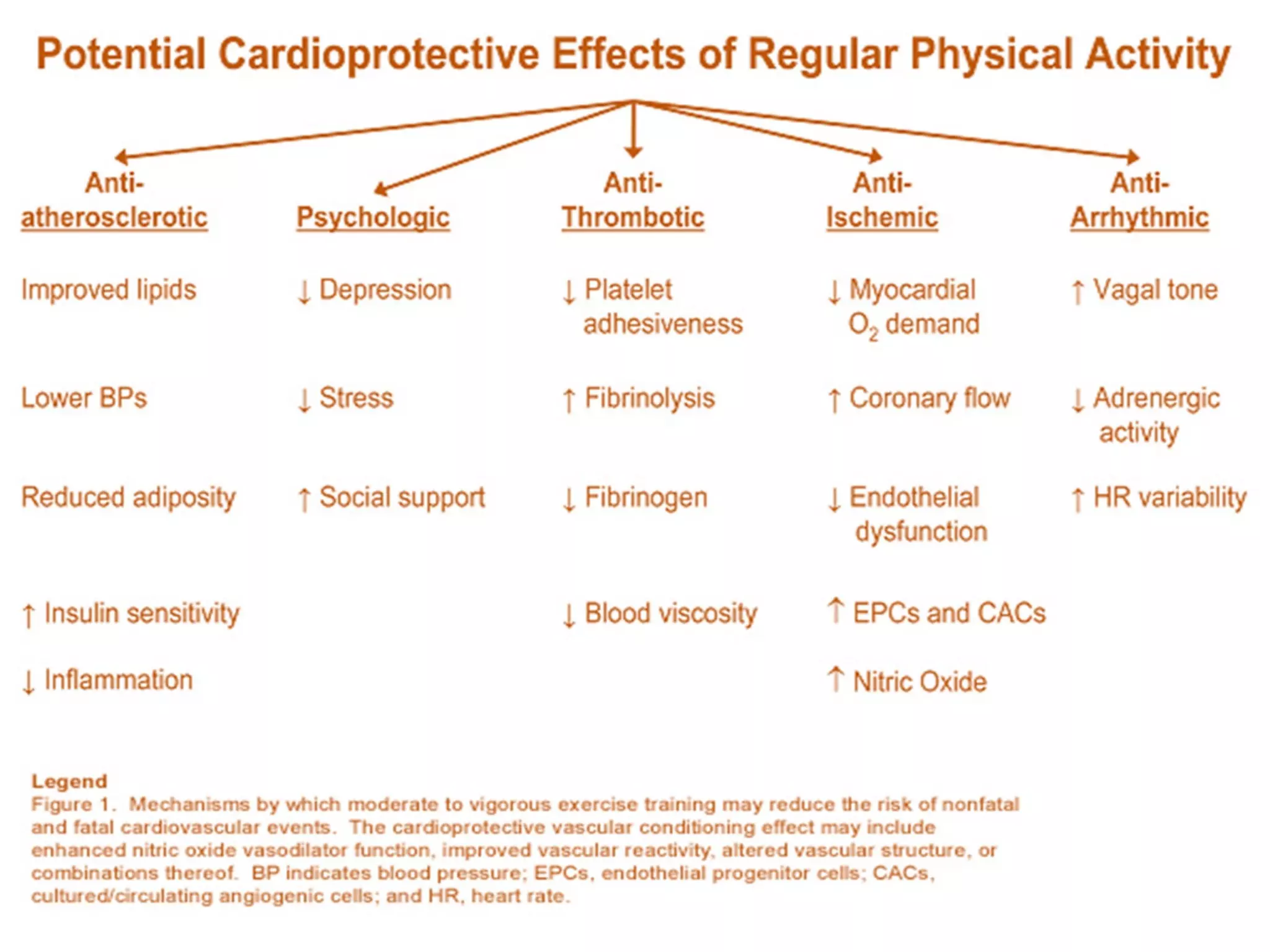 Patient Rehabilitation Post Myocardial Infarction | PPT