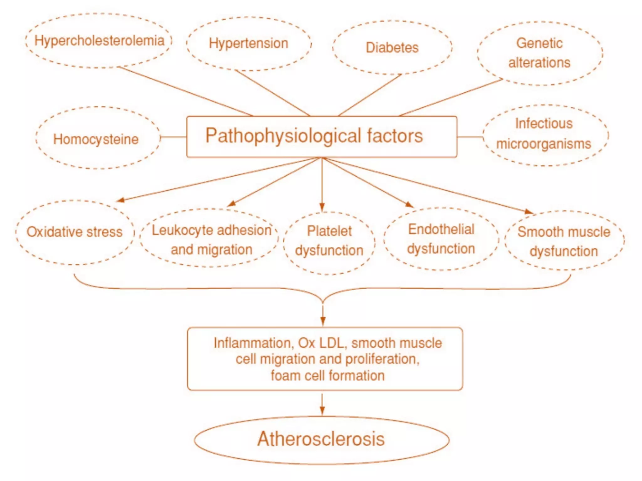 Patient Rehabilitation Post Myocardial Infarction | PPT