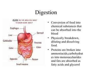 Patients Education | PPT