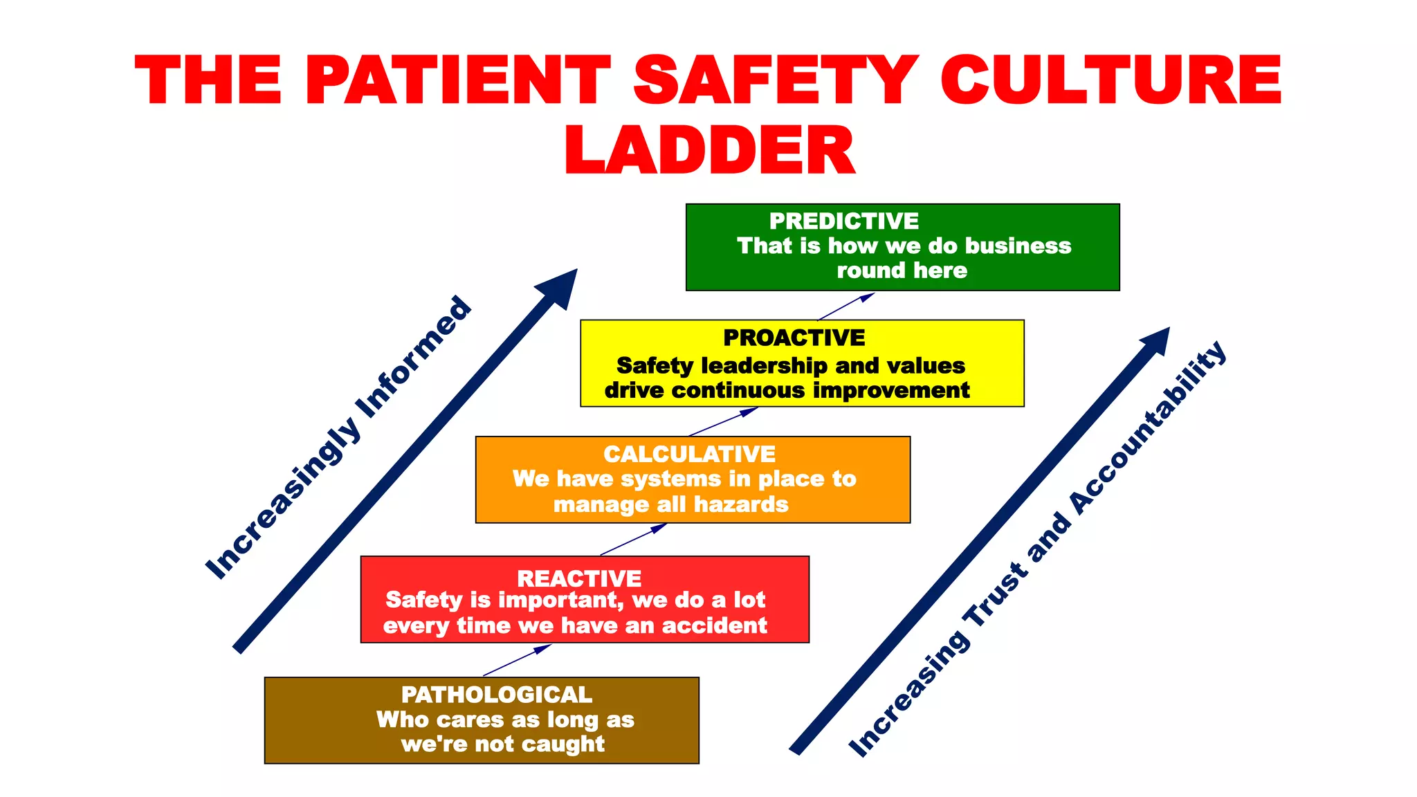 Patient safety culture | PDF