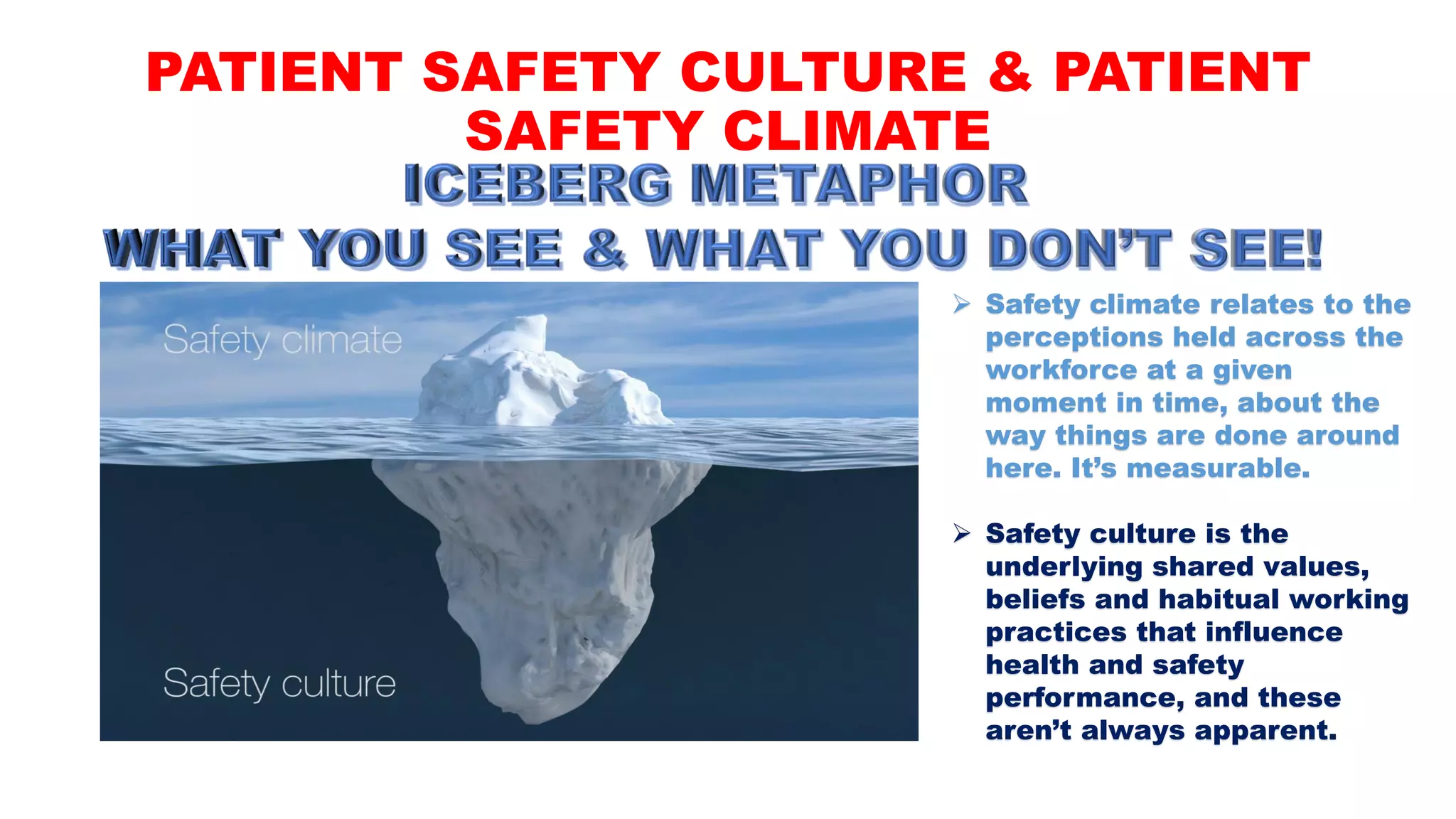 Patient safety culture | PDF