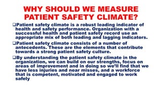 Patient safety culture | PDF