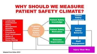 Patient safety culture | PDF