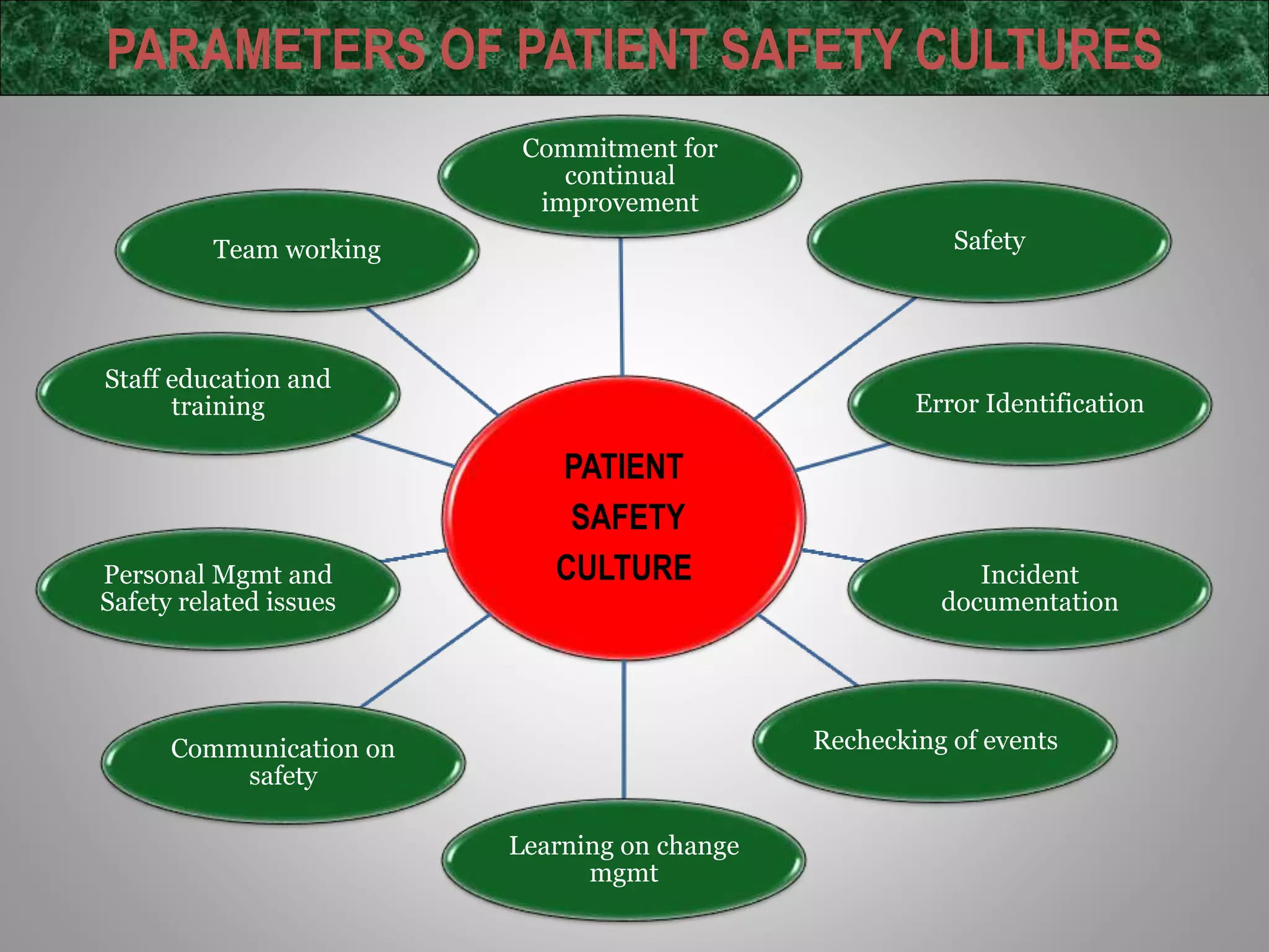 PATIENT SAFETY PPT | PPTX