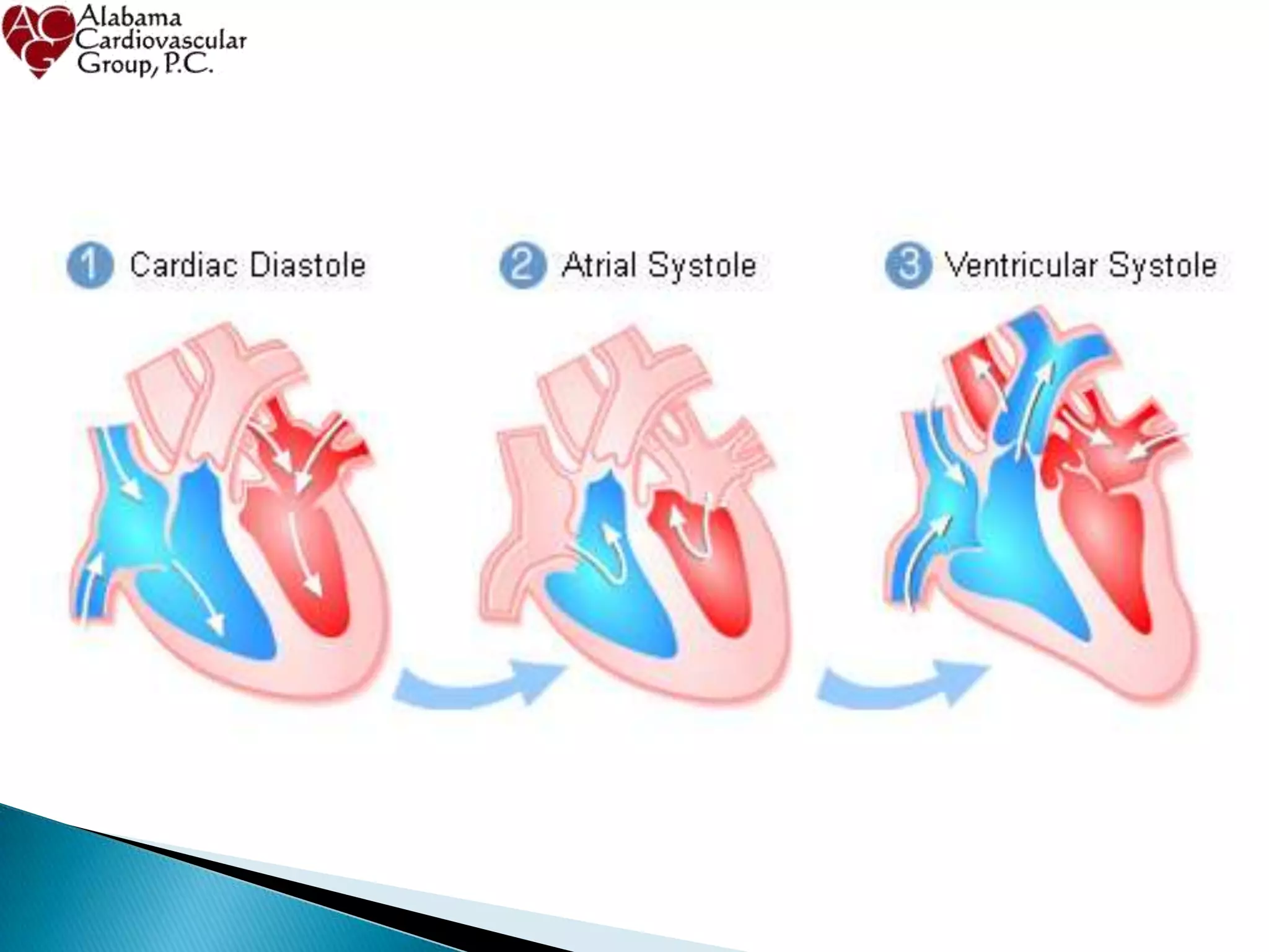 What is a Cardiac Defibrillator? | PPTX