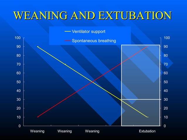 Patient Ventilator Synchrony & Successful Weaning講義 | PPT