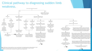 APPROACH TO A PATIENT PRESENTING WITH LIMB WEAKNESS | PPTX