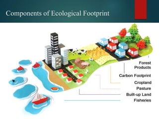 Ecological footprint, | PPTX