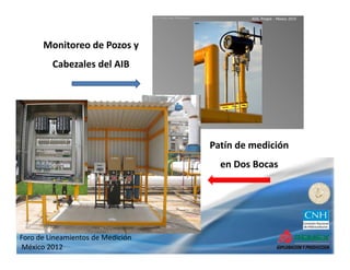 Patines de medicion emerson | PDF