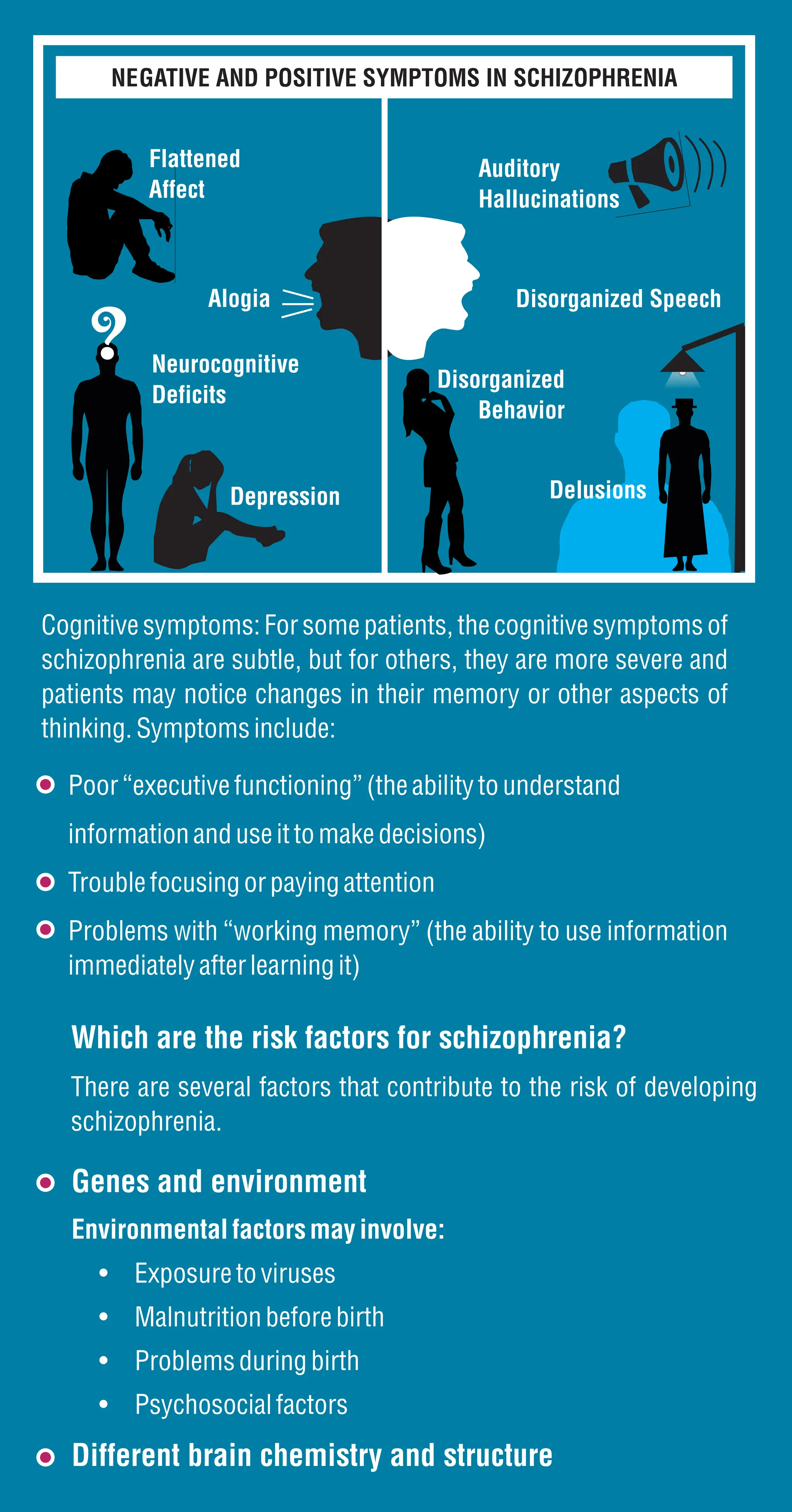 what is schizophrenia disorder mental illness | PDF