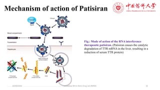 Patisiran in Hereditary Transthyretin Amyloidosis (hATTR) | PPT