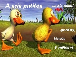 Patitos | PPS