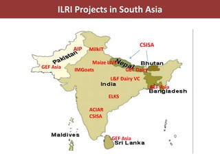 Livestock sector development in Bihar: ILRI’s interests and plans | PPTX