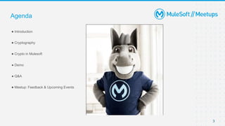 CryptoGraphy Module in Mulesoft | PPT