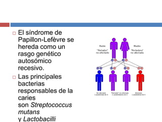 Síndrome de papillon lefevre | PPTX