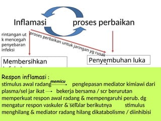 PATOFIS INFLAMASI ATAU RADANG DALAM TUBUH | PPTX