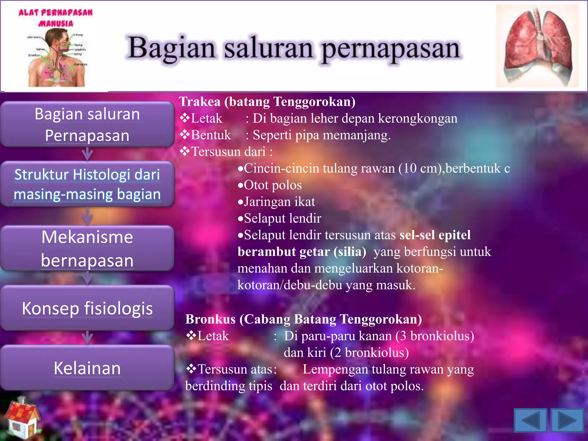Patofisiologi sistem pernapasan | PPTX