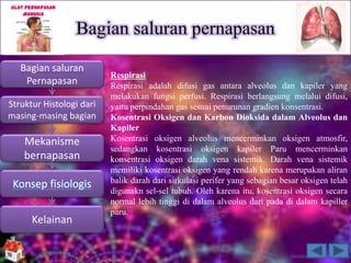 Patofisiologi sistem pernapasan | PPTX
