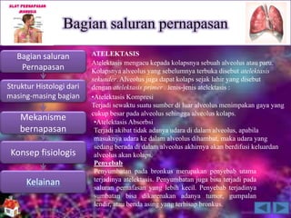 Patofisiologi sistem pernapasan | PPTX