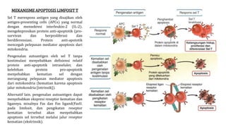 Toleransi Imunologik dan Autoimnitas | PPTX
