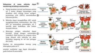 Toleransi Imunologik dan Autoimnitas | PPTX