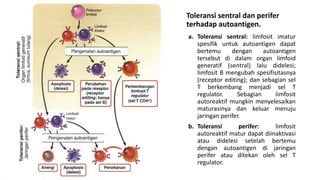 Toleransi Imunologik dan Autoimnitas | PPTX