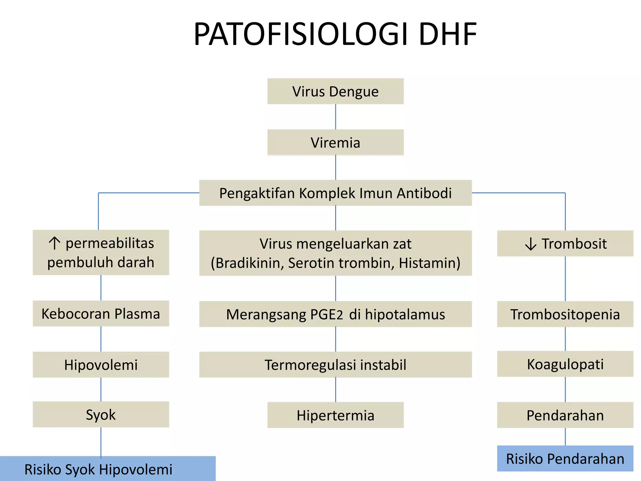 Patofisiologi dhf | PPTX