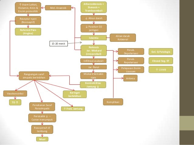 Patofisiologi Infark Miokard Akut