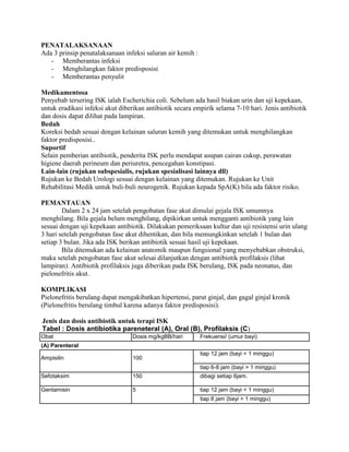 Patofisiologi isk | PDF