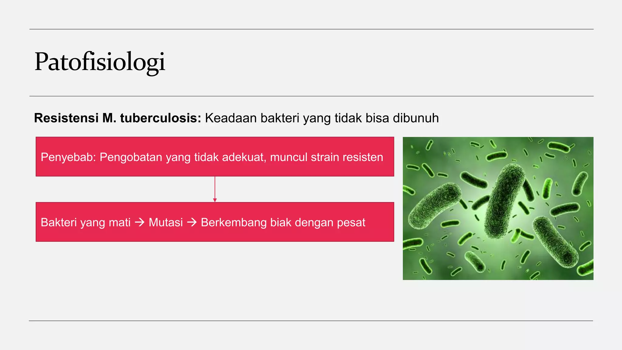 PATOFISIOLOGI & KOMPLIKASI TB Resisten Obat.pptx