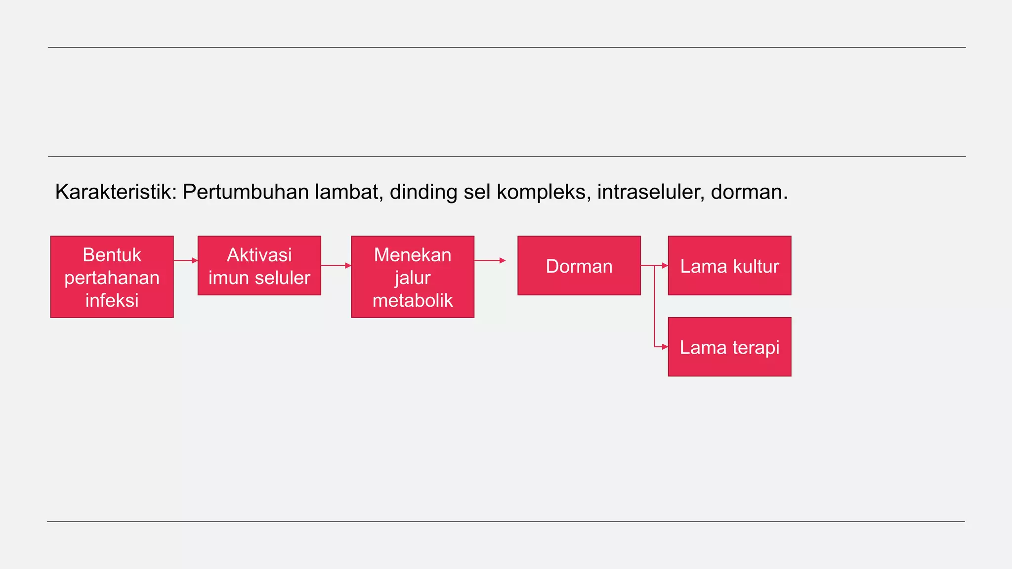 PATOFISIOLOGI & KOMPLIKASI TB Resisten Obat.pptx