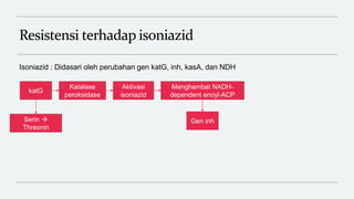 PATOFISIOLOGI & KOMPLIKASI TB Resisten Obat.pptx