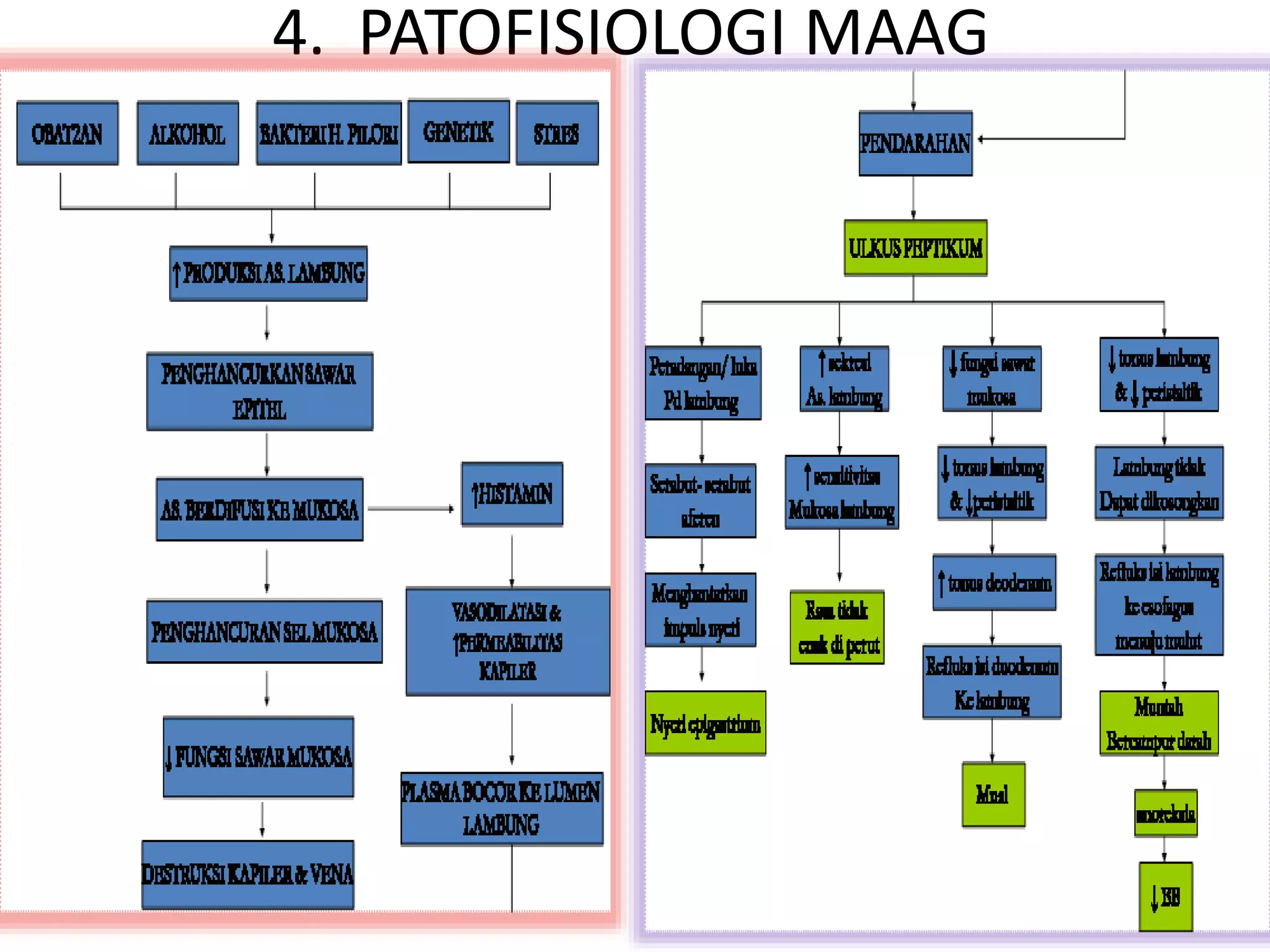 PEPTIC ULCER TUKAK LAMBUNG Patofisiologi peptic ulcer | PPTX
