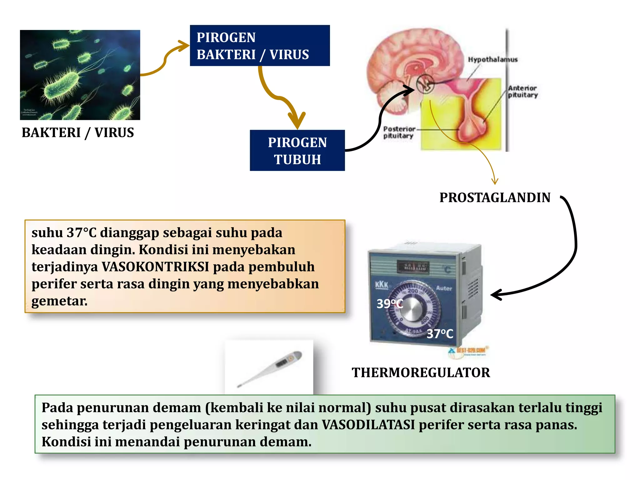 Patofisiologi nyeri, demam, serta obat analgetik | PPTX